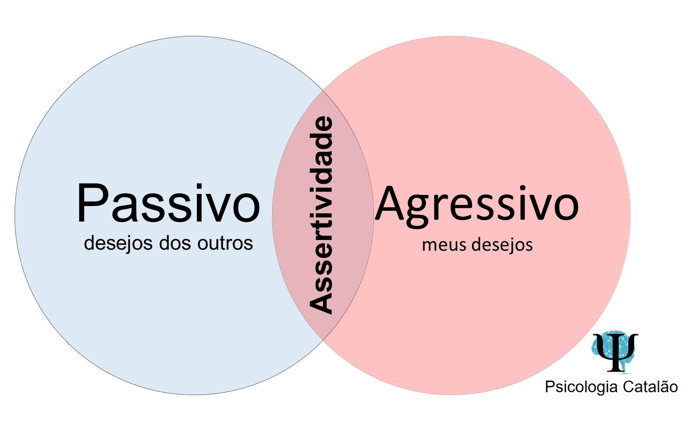 Habilidades Sociais – Assertividade – Dr. Bruno Marinho de Sousa